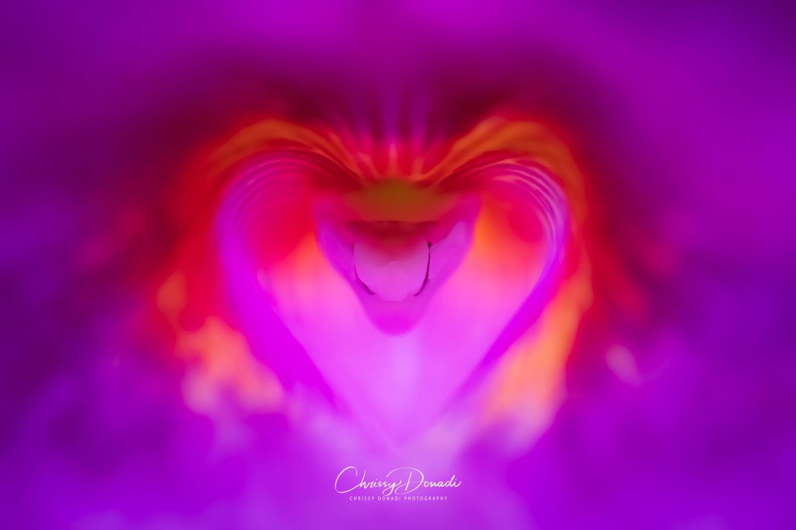 Improve Your Flower Photography with Promiscuity and Perennial Wooing