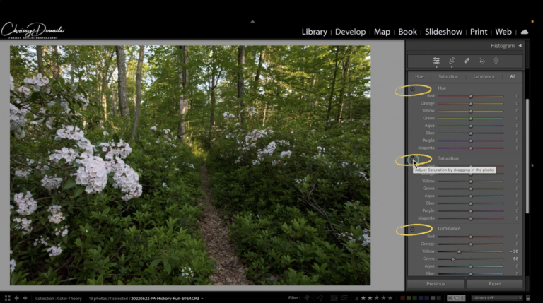 Quick Guide to Understanding Lightroom’s HSL Panel