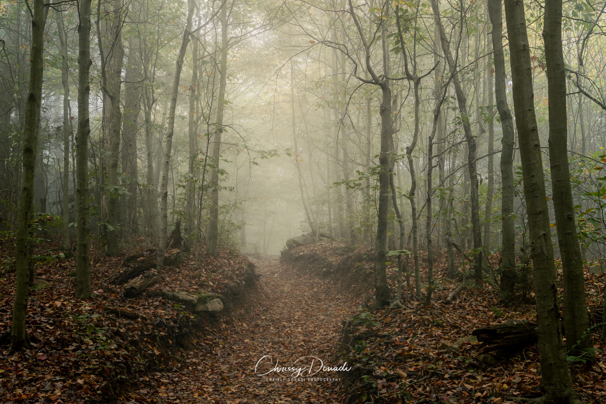 Stick Season: Why Winter Is a Gift for Outdoor Photographers